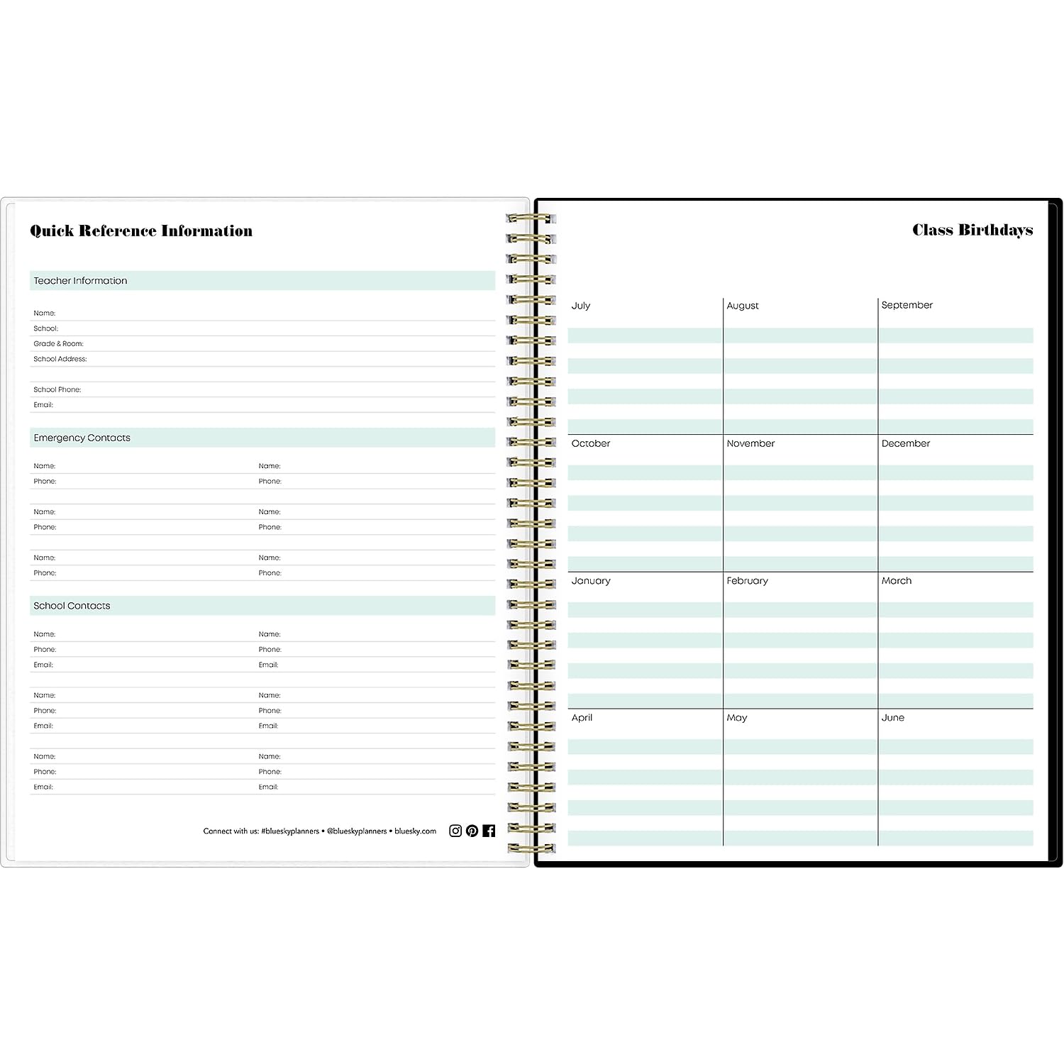 Blue Sky Undated Academic Year Teacher Weekly Lesson Planner, 8.5" x 11", Flexible Cover, Wirebound, Gale (136608-A23)