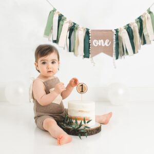 Wild One Highchair Banner, Jungle Highchair Banner, Safari Birthday，high Chair Banner First Birthday Boy，one High Chair Banner Boy Party Decorations（green）