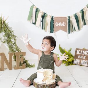 Wild One Highchair Banner, Jungle Highchair Banner, Safari Birthday，high Chair Banner First Birthday Boy，one High Chair Banner Boy Party Decorations（green）