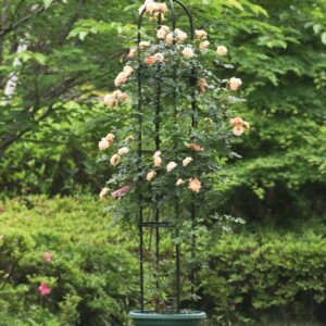 6 Feet Tall Garden Trellis for Climbing Plants Kalolary Garden Tower Obelisk Trellises Rustproof Metal Potted Plant Climbing Support for Indoor Outdoor Flowers Vegetable Fruits Vines Support (Black)