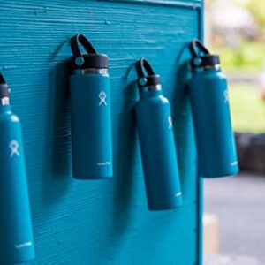 Hydro Flask Standard Mouth Bottle with Flex Cap