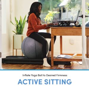 LifeSpan Fitness Anti-Slip Felt Cover Yoga Ball Chair with Handle & Back Support, Office, Home Gym, Pregnancy, Balance Training, Inflator Included (Charcoal Gray, 25 Inch)