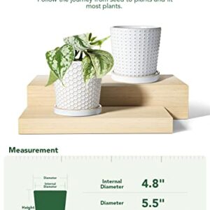 LE TAUCI Ceramic Plant Pots, 5.4 Inch Pots for Indoor Plants, Planters with Drainage Hole and Saucer, Flower Pots for Succulent, Snake Plants and Cactus, Set of 2, Reactive Glaze White