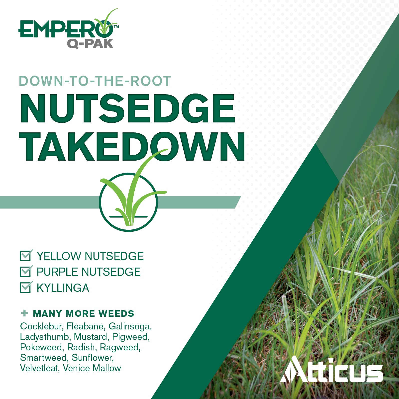 Atticus Empero Q-Pak Nutsedge Killer (Compare to SedgeHammer Plus) - (2 Pack) Turf Herbicide - Kills Nut Grass in Established Lawns, Ornamental Turfgrass, & Landscape Areas - Halosulfuron