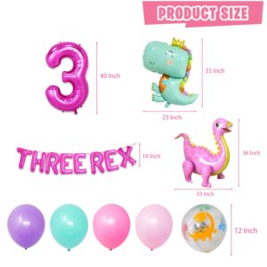 Mpanwen Girl Dinosaur Birthday Party Decorations, Three Rex Pink Dinosaur Dino Party Supplies for Girls Baby - Banner, Cake, and Cupcake Toppers, Balloons