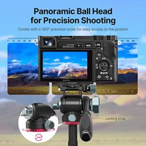 Video Fluid Head for Camera Tripod - ULANZI U-190 Mini Pan Tilt Head Small Panoramic Ball Head with Arca Swiss Quick Release Plate Lightweight Filming Equipment for Compact Camera Load up to 6.6lb/3kg