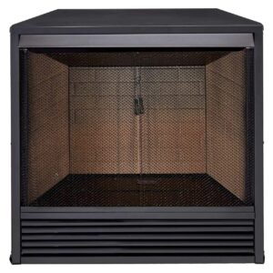 ProCom PC32VFC 32-Inch Universal Ventless Fireplace Insert, Use with 18-Inch or 24-Inch Natural Gas or Liquid Propane Log Sets, Black