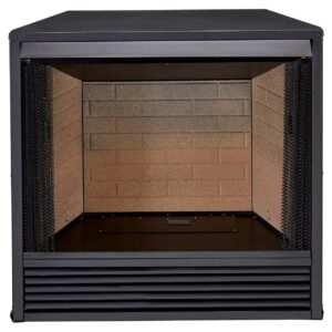 ProCom PC32VFC 32-Inch Universal Ventless Fireplace Insert, Use with 18-Inch or 24-Inch Natural Gas or Liquid Propane Log Sets, Black