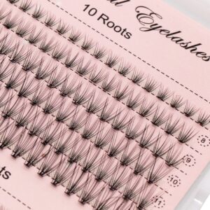 Losha Individual Lashes 10D/20D Lash Clusters 0.1/0.07mm Extensions 8/9/10/11/12mm Mixed Wispy Cluster Eye C Curl Eyelashes Extension (10D/20D,8-12mm)