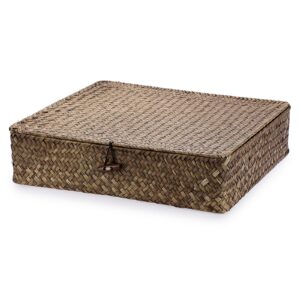 Hipiwe Flat Woven Wicker Basket Bins with Lid Seagrass Storage Basket Box Multipurpose Household Basket Bins Boxes for Shelf Wardrobe Organizer, Coffee Large