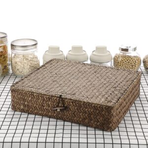 Hipiwe Flat Woven Wicker Basket Bins with Lid Seagrass Storage Basket Box Multipurpose Household Basket Bins Boxes for Shelf Wardrobe Organizer, Coffee Large