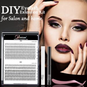 DIY Lash Extension Kit, Missicee Individual Lashes Kit with 240 Pcs Lash Clusters 5ml Cluster Lash Bond and Seal 1 Eyelash Applicator for Beginner DIY at Home Easy to Apply (10D+20D-C Curl-8-12 mix)