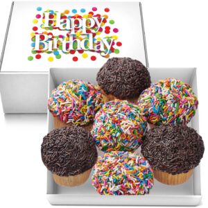 Happy Birthday Cupcakes Large Gift Basket Rainbow Sprinkle Chocolate Sprinkle | 7 INDIVIDUALLY WRAPPED Fresh Cupcakes | Party Food Gift