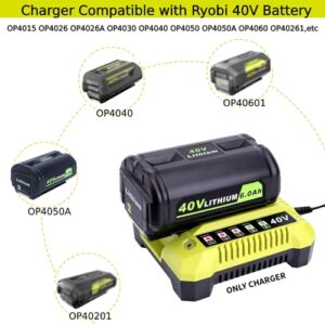 OP401 40V Lithium Ion Battery Charger Compatible with Ryobi OP4015 OP4026 OP4026A OP4030 OP4040 OP4050 OP4050A OP4060 OP40261 OP40301 OP40401 OP40501 OP40601 Tools Batteries