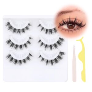 20 Pairs Lashes False Eyelashes Natural Look Wispy Cat Eye Mink Lashes Fluffy D Curl Fake Eye Lashes 3D Dramatic Long Thick Russian Strip Lashes Pack by Mavphnee