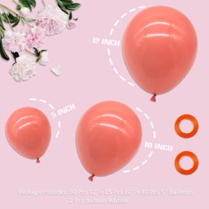 Coral Balloons,3 Different Sizes 77 Pack Coral Balloons 12 Inch,5 Inch,10 Inch Coral Balloon Garland Arch Kit for Birthday Valentines Baby Shower Wedding