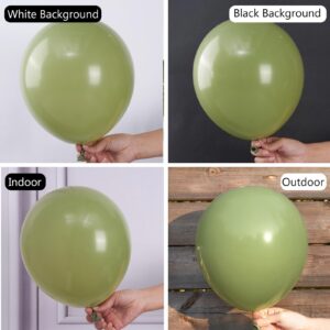 PartyWoo Sage Green Balloons, 85 pcs Boho Green Balloons Different Sizes Pack of 18 Inch 12 Inch 10 Inch 5 Inch Matte Green Balloons for Balloon Garland or Balloon Arch as Party Decorations, Green-F11