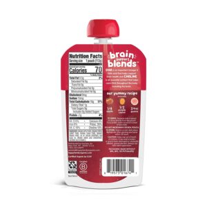 Happy Baby Organics Brain Support Blends Apples, Purple Carrots & Guava with DHA and Choline 4oz Pouch (Pack of 16)