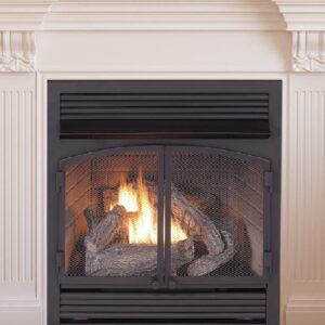 Duluth Forge Dual Fuel Ventless Gas Fireplace Insert - 32,000 BTU, T-Stat Control - Model# FDF400T-ZC-R (Renewed), Black