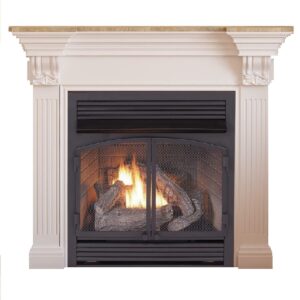 Duluth Forge Dual Fuel Ventless Gas Fireplace Insert - 32,000 BTU, T-Stat Control - Model# FDF400T-ZC-R (Renewed), Black