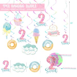 NALONER Two Sweet Birthday Party Decorations, Donut Decoration, Baby Second 2nd Decorations for Girl, Banner & Cake Topper, Balloons Garland