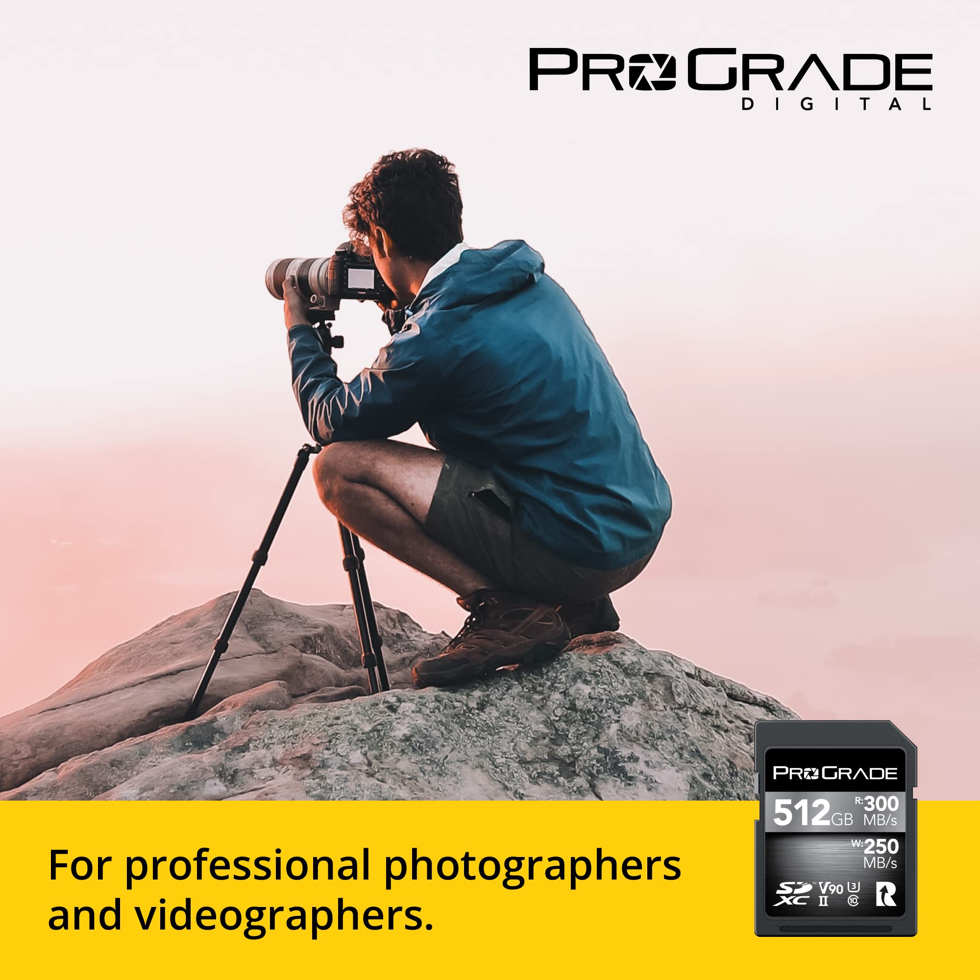 ProGrade Digital SDXC UHS-II V90 300R Memory Card (512GB)