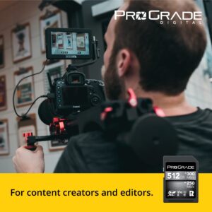 ProGrade Digital SDXC UHS-II V90 300R Memory Card (512GB)