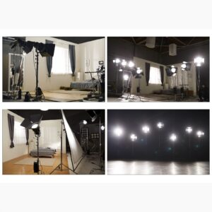 GODOX LB-02 8 Inch LED Video Light Modifier Barn Door with Bowens Mount for Video Photography Portrait