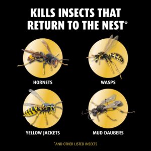 Ortho Home Defense Hornet & Wasp Killer7 For Insects - Sprays 20 ft. Above Ground (3-Pack)