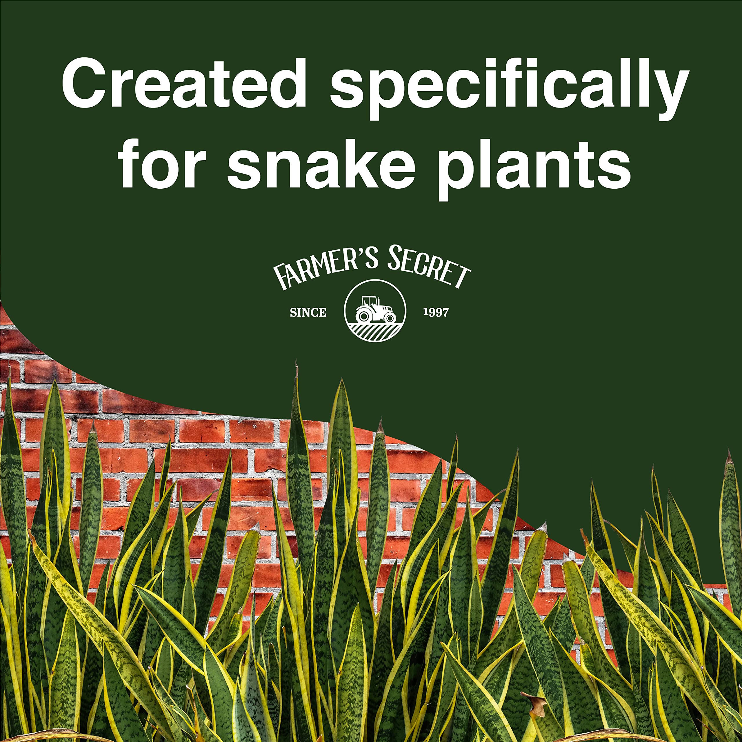 Farmer’s Secret - Snake Plant Liquid Plant Food - Strengthen Roots and Encourage Growth - for Indoor and Outdoor Plants - Long-Lasting Formula - 8 OZ