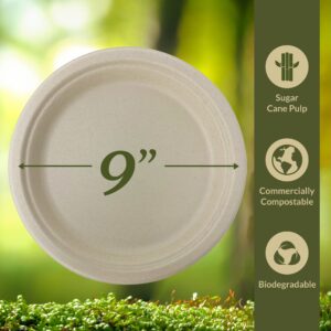 Reli. Compostable Paper Plates 9 Inch (140 Pack Bulk) | Brown Disposable Plates 9" | Heavy Duty Paper Plates, Eco-Friendly | Made of Sugarcane Fibers/Bagasse - Biodegradable | Microwavable (Natural)