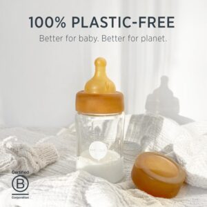 HEVEA Wide Neck Baby Glass Bottle 2-Pack Free from Plastic, BPA, and Phthalates (250 ml / 8 oz)