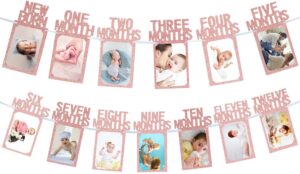 newmemo 1st birthday baby photo banner for girls baby first birthday photograph banner from newborn to 12 month rose gold monthly milestone bunting garland safari jungle baby shower birthday decor