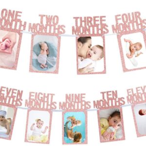 Newmemo 1st Birthday Baby Photo Banner for Girls Baby First Birthday Photograph Banner From Newborn to 12 Month Rose Gold Monthly Milestone Bunting Garland Safari Jungle Baby Shower Birthday Decor