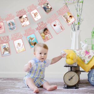 Newmemo 1st Birthday Baby Photo Banner for Girls Baby First Birthday Photograph Banner From Newborn to 12 Month Rose Gold Monthly Milestone Bunting Garland Safari Jungle Baby Shower Birthday Decor