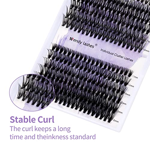 Individual Cluster Lashes 30D/40D Mixed Natural Eyelash Clusters C/D Curl 0.07mm Matte Black Soft 12-16mm Mink DIY Individual Eyelashes Cluster Lashes Extension By Wendy Lashes (30/40D-D)