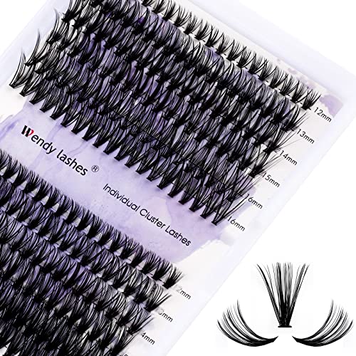 Individual Cluster Lashes 30D/40D Mixed Natural Eyelash Clusters C/D Curl 0.07mm Matte Black Soft 12-16mm Mink DIY Individual Eyelashes Cluster Lashes Extension By Wendy Lashes (30/40D-D)