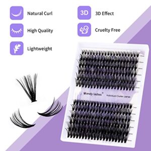 Individual Cluster Lashes 30D/40D Mixed Natural Eyelash Clusters C/D Curl 0.07mm Matte Black Soft 12-16mm Mink DIY Individual Eyelashes Cluster Lashes Extension By Wendy Lashes (30/40D-D)