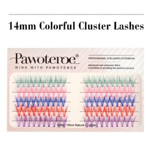 Colored Cluster Individual Lashes DIY Eyelash Extension 5 Colors Lash Clusters Eyelash 14mm Curl Lash Extension 100pcs Clusters False Lashes Set Pack by Pawotence (Color-Mix-14mm)