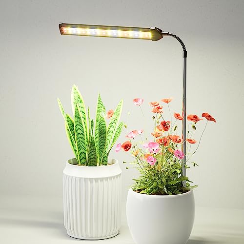 Juhefa Grow Light for Indoor Plants Growing, 6000K Full Spectrum Gooseneck Plant Lamp for Seedings Succulents Small Plants, 5 Dimming & 4/8/12/18H Timer (1 Pack)