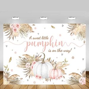 MEHOFOND 7x5ft Autumn Boho Little Pumpkin Backdrop for Girl Baby Shower Fall Leaves Pampas Grass Pink White Floral Background for Photography Party Decorations Banner Photo Booth Props