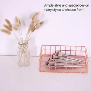 Fdit Storage Basket,Rose Gold Iron Storage Basket Organizer Shelf Storage Rack Desk Decor for Office,Home and Student Desk(D)