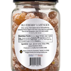 Gourmanity Blueberry Flavor Natural Honey Lozenges 250gr, Gourmet Candy Honey Drops, Soothing Honey Throat Lozenges (8.8oz/250gr Pack)