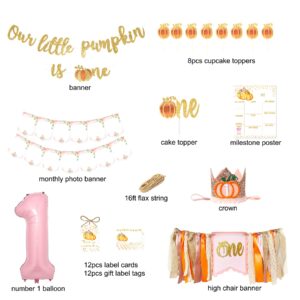 Little Pumpkin 1st Birthday Decorations, Pumpkin First Birthday Decorations Supplies for Autumn Fall 1st Birthday Party, Halloween Thanksgiving 1st Birthday, Our Little Pumpkin is Turning One