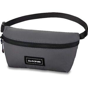 dakine hip pack lt - castlerock, one size