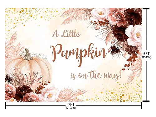 MEHOFOND 7x5ft Pumpkin Baby Shower Backdrop for Girl Fall Boho Baby Shower Party Decorations Little Pumpkin is on The Way Banner Thanksgiving Baby Shower Background Photo Booth Studio