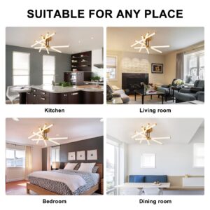 Myhaptim Modern LED Flush Mount Ceiling Light 10-Light LED Close to Ceiling Light Rotatable Gold Light Fixture for Kitchen Bedroom Dining Room,3200K,Not Dimmable