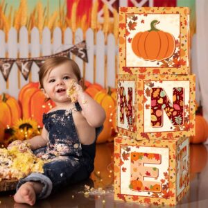 Little Pumpkin 1st Birthday Fall Decorations Balloon Boxes,3pcs One Boxes in Fall Little Pumpkin Theme for First Birthday Baby Party Decorations Supplies