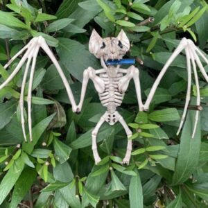 Aweilan Halloween Animal Skeleton,Horrible Bat Skeleton Simulation Bat Model Vivid Bat Bone for Yard Garden Lawn Patio Halloween Party Favors Decor, 2pcs