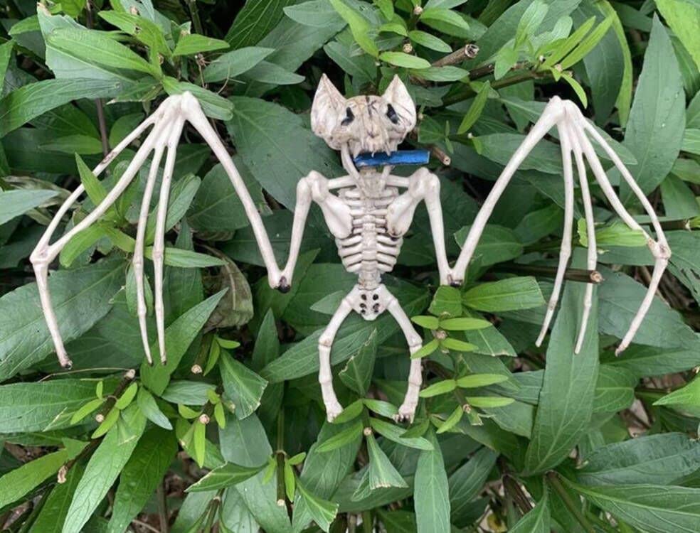 Aweilan Halloween Animal Skeleton,Horrible Bat Skeleton Simulation Bat Model Vivid Bat Bone for Yard Garden Lawn Patio Halloween Party Favors Decor, 2pcs